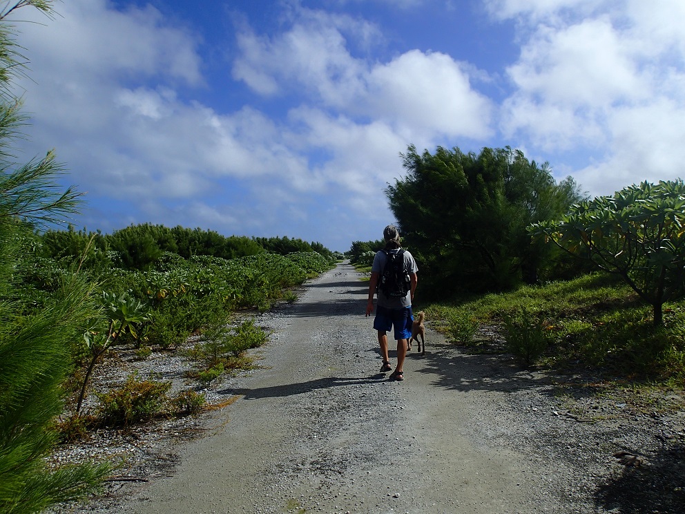 Totegegie (Airport) Motu, the Gambier Archipelago, French Polynesia ...