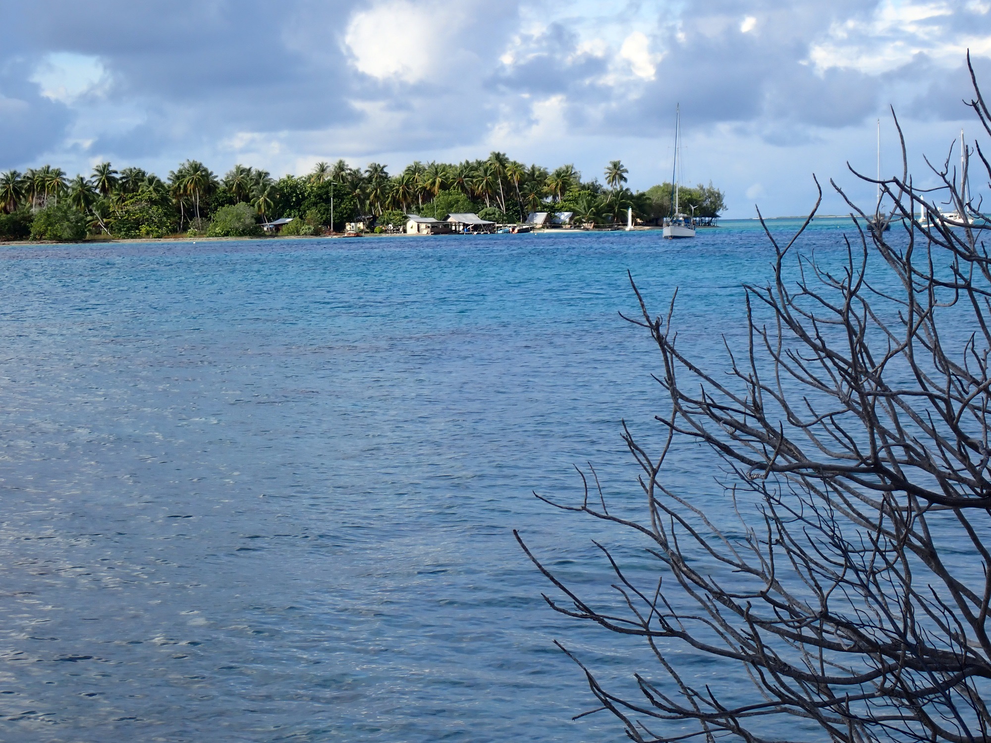 IT'S A DOGS LIFE – Page 2 – SAILING AROUND THE WORLD WITH SPIRIT OF ARGO